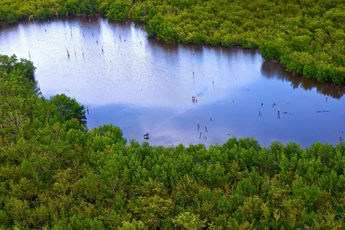 Akanda National Park - African Travel Book