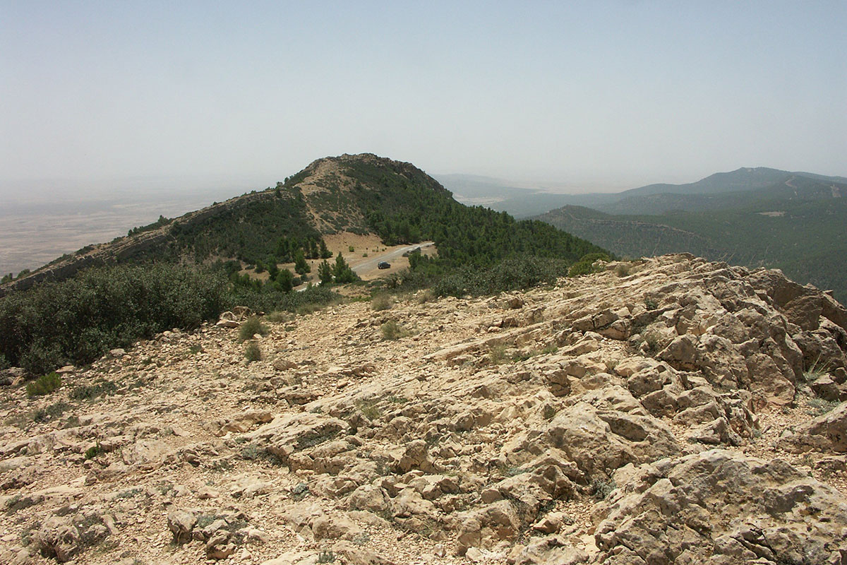Chambi National Park - African Travel Book