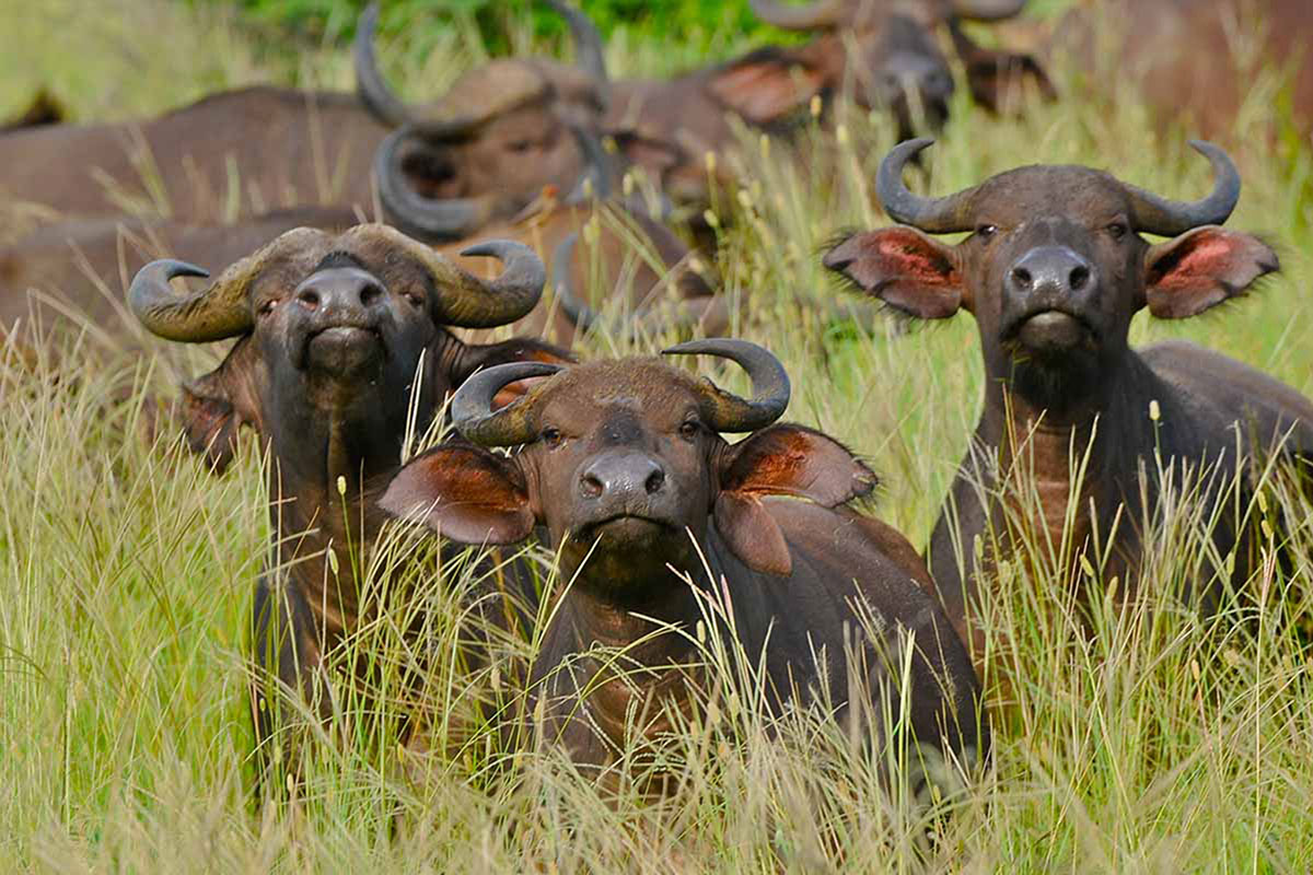 Omo National Park - African Travel Book